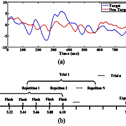 P300 ERPs and our flashing timeline for the P300 model.