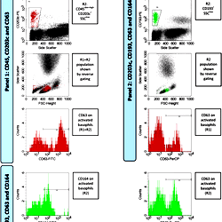 Flowchart diagram of the flow cytometry data analysis.