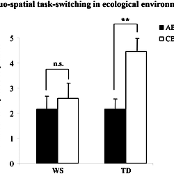 Performances of WS and TD participants in the Visuo-Spatial Task ...