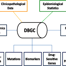 Schematic architecture of the DBGC.