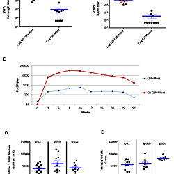 Head-to-Head Comparison of Soluble vs. Qβ VLP Circumsporozoite Protein ...