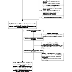Conceptual model flow chart.