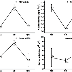 Soil alkaline phosphatase (ALP) activity (A), soil urease activity (B ...
