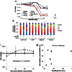 ONC201 effects on proliferation and cell death in tumor and normal cells.
