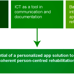 Overview of the core category and the three subcategories in the results.