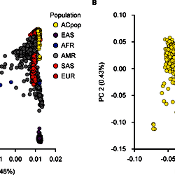 PCA of ACpop and the 1000g.