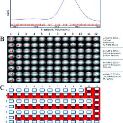 Crystal structures of Crystal Kappa variants in complexes.