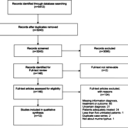Study selection process flow diagram.