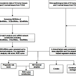 Flow chart of the bioinformatics method.