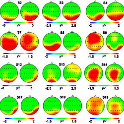 2D head maps for each subject in both sessions for evoked activity.