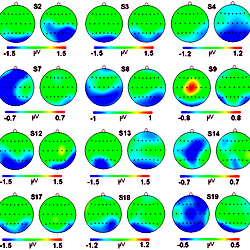 2D head maps for each subject in both sessions for induced activity.
