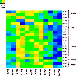 Heat map representation showing the comparison of amino acid ...
