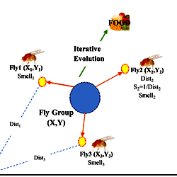 The schematic view of the fruit fly optimization algorithm (FOA).