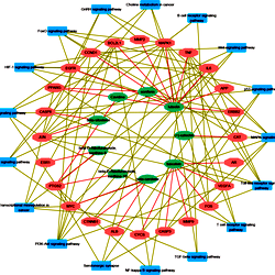 Item - Compound-target-pathway networks. - Public Library of Science ...