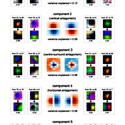 Lateral-weight components for layer 1 of an rCNN trained on ImageNet.