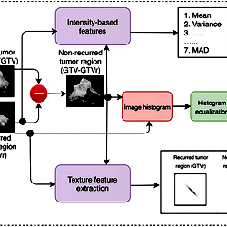 Radiomics workflow.