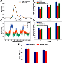 Statistical assessment of the angle distribution for the angle α in Fig 4E.