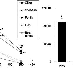 Effect of lipid sources on plasma TG levels and AUC values during the ...
