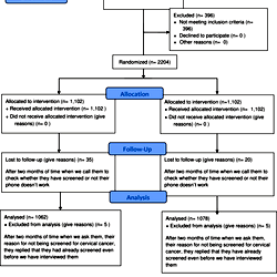 Flow diagram of the progress through the phases of a parallel ...