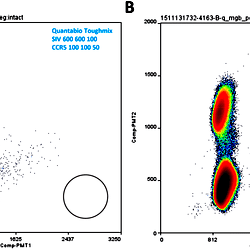 MGB probe assay ddPCR testing in Quanta Toughmix.