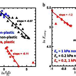 Scaling relationship of nuclear circularity.