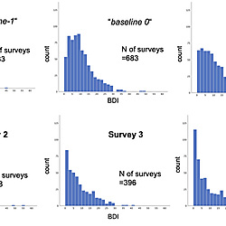 Trends in the BDI scores for each survey.