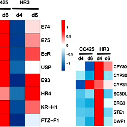 mRNA abundance of 20E signal transduction pathway, 20E synthesis, and ...