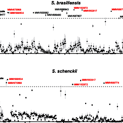 High-content screening of the Pathogen Box library.