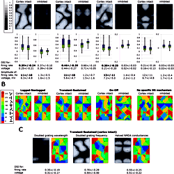 DSI and the direction maps.