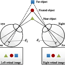 Viewer perspective retinal projection of objects showing different ...