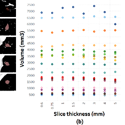 Methodologies used during volumetric assessment of lung nodules.