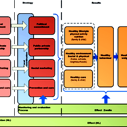 Logic model of the Zwolle Healthy City approach.