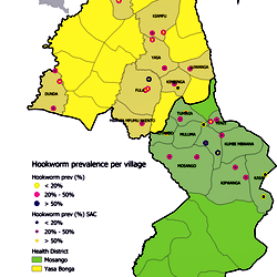 Map of the study area: The health districts Mosango and Yasa Bonga in ...