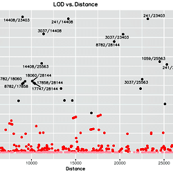 LOD of each variant pair vs. their distance.