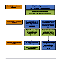 Antihypertensive treatment algorithm.