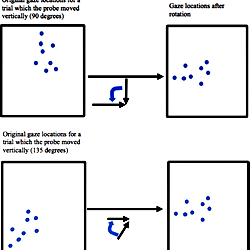 Two examples of data rotation.