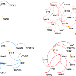 Target networks of the five regulators discovered from the analysis of ...
