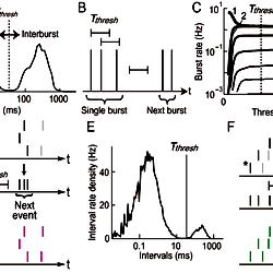 Identification of bursts and events.