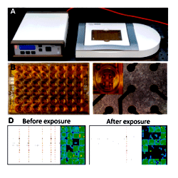 Overview of the microelectrode array.
