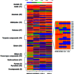 Heatmap representation of GC×GC peak areas of metabolites from four S ...