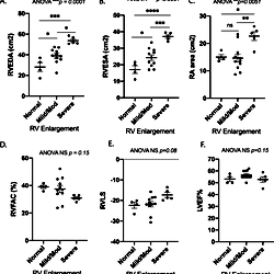 Echocardiographic characteristics by patient group based on initial ...