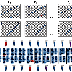 DNA Sudoku pooling example.