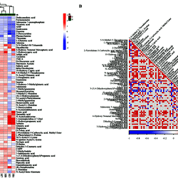 Heat map of the differential metabolites.