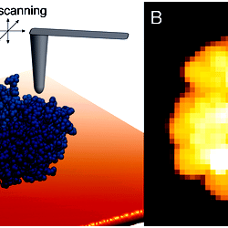 Simulated AFM scanning and graphics.