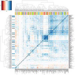 Heatmap of protein-protein correlations.