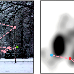 Experimental and simulated scan paths.