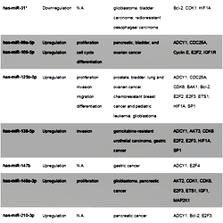 In-silico target analysis.