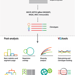 Overview of VDJtools software package.
