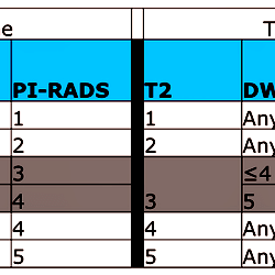 PI-RADS Scoring System.