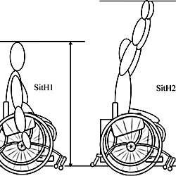 The two measurements of sitting height.
